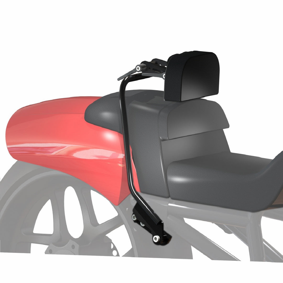 V-ROD - Bolt-On Driver Backrest Muscle Rod – ZEEL DESIGN